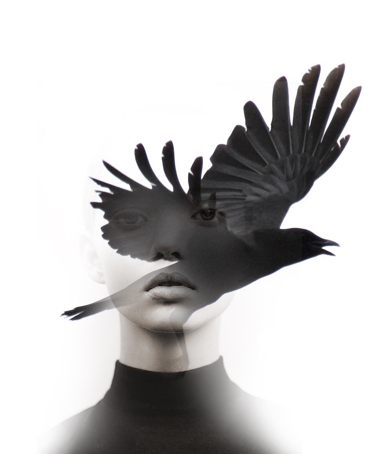 Antonio Mora Art - Shop By Artist - Citizen Atelier