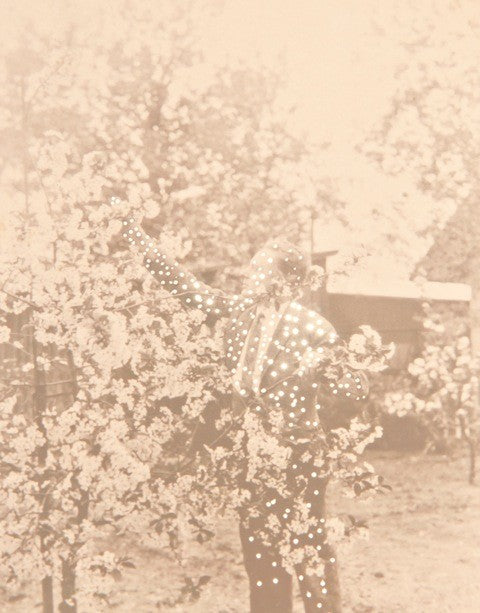 They Still Bloom by Amy Friend | Contemporary Art – Citizen Atelier